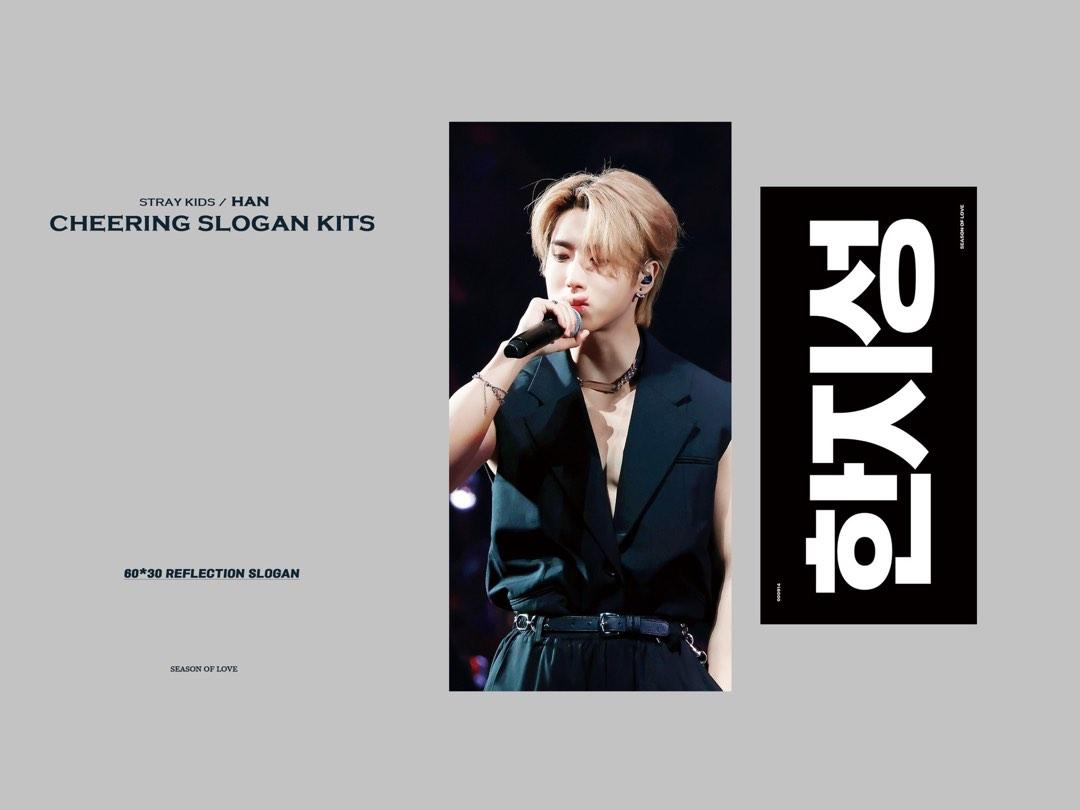 STRAY KIDS SKZ SLOGAN CHEERING KITS, Hobbies & Toys, Memorabilia ...