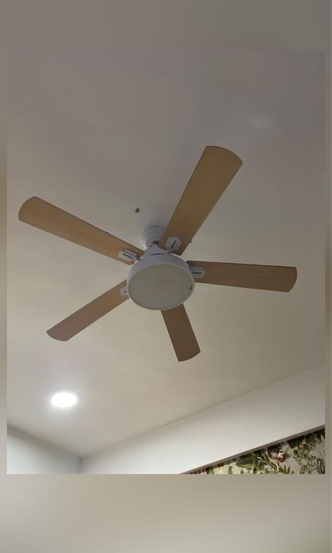 Ceiling fans for sell, Furniture & Home Living, Lighting & Fans, Fans ...