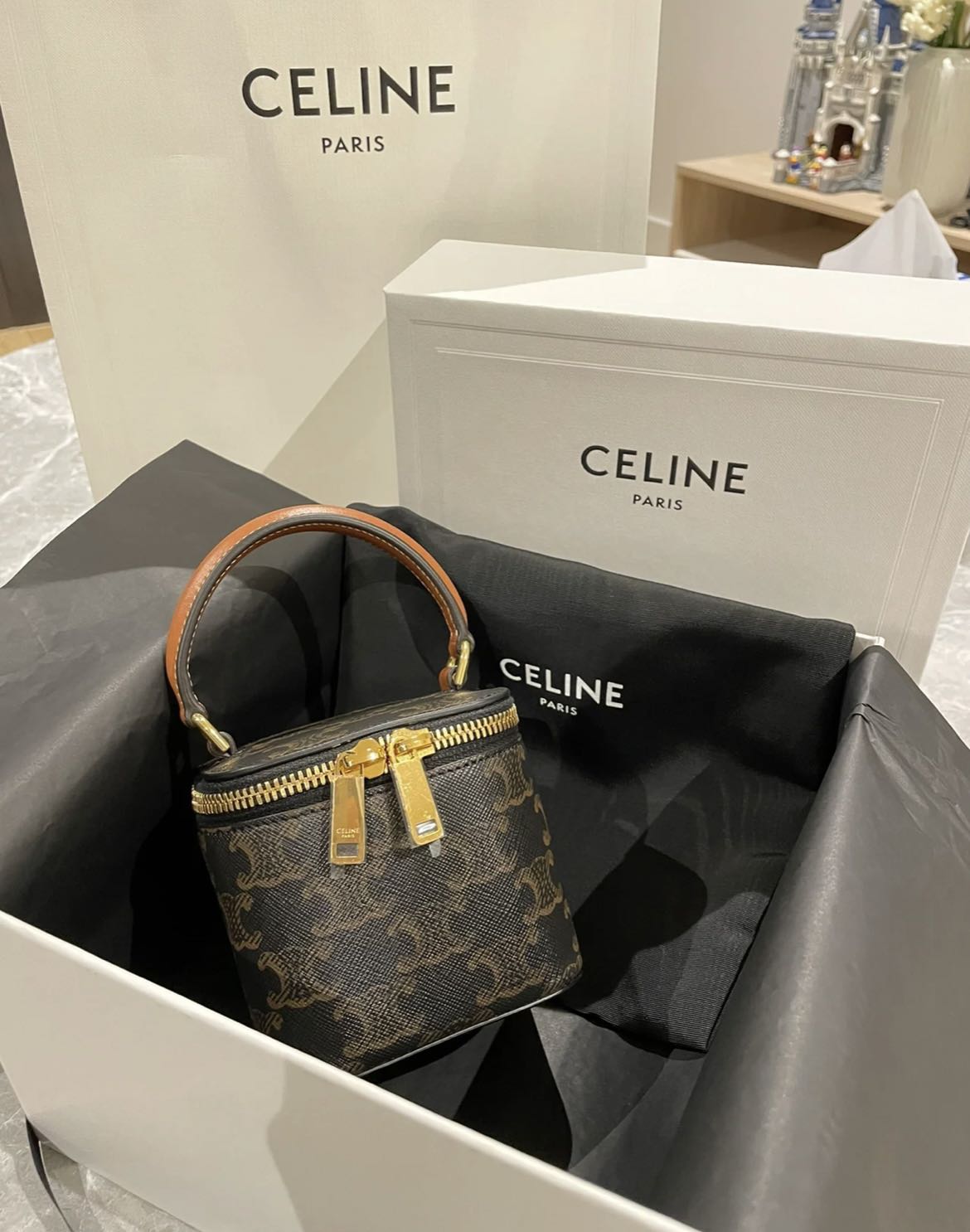 Celine mini vanity, Women's Fashion, Bags & Wallets, Cross-body Bags on ...