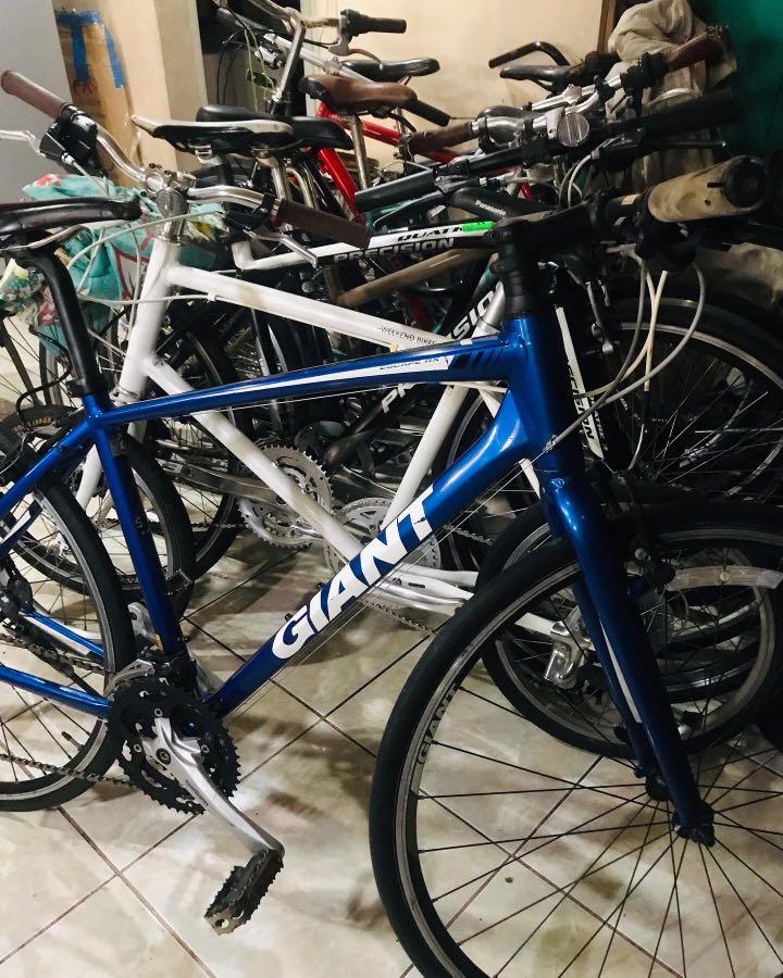 Giant Escape Rx Aluxx Frame Rigid Fork 3by 8 Speed, Sports Equipment ...