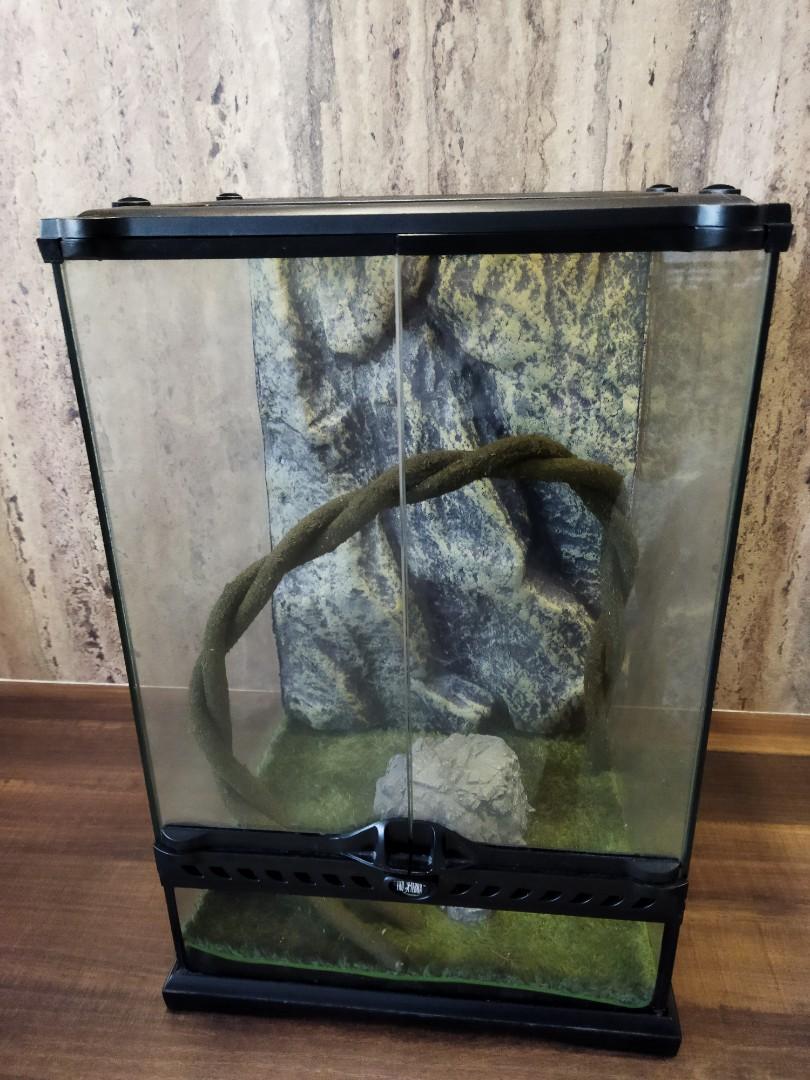 Insects aquarium, Pet Supplies, Homes & Other Pet Accessories on Carousell