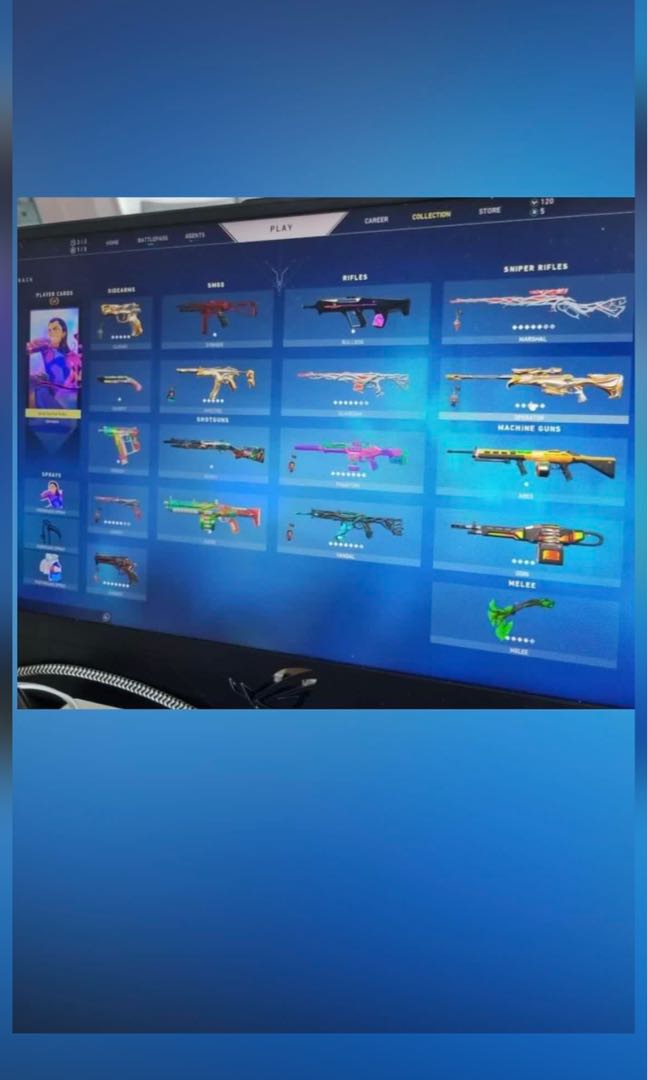 Valo Skin, Video Gaming, Gaming Accessories, In-Game Products on Carousell