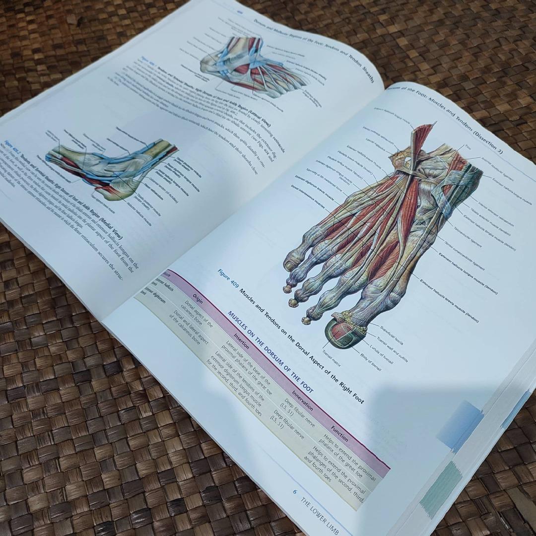 Anatomy: A Regional Atlas of the Human Body (5th Edition), Hobbies ...