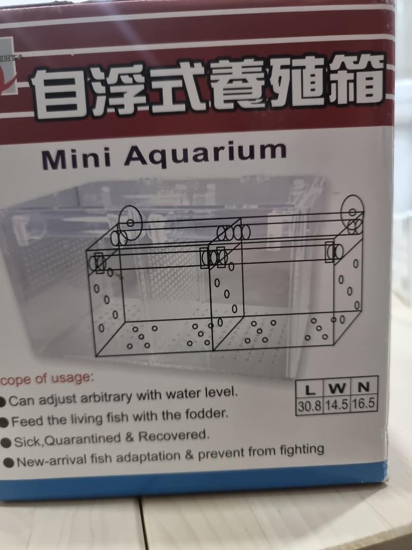 Fish separator box, Pet Supplies, Homes & Other Pet Accessories on ...
