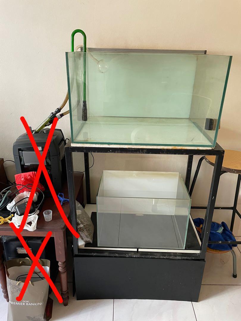 2 feet Fish tank , Pet Supplies, Homes & Other Pet Accessories on Carousell
