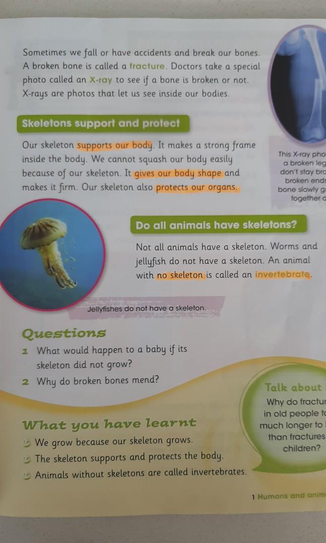 Cambridge primary science learner's book 4 Fiona Baxter, Hobbies & Toys ... Cambridge primary science learner's book 4 Fiona Baxter, Hobbies & Toys ...