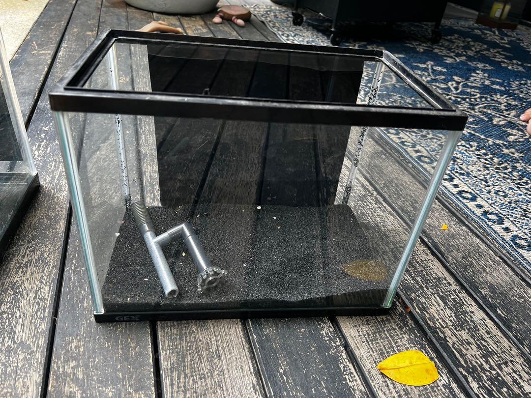 Dolphin Tank Canister Filter C1300 & Fish tank, Pet Supplies, Homes ...