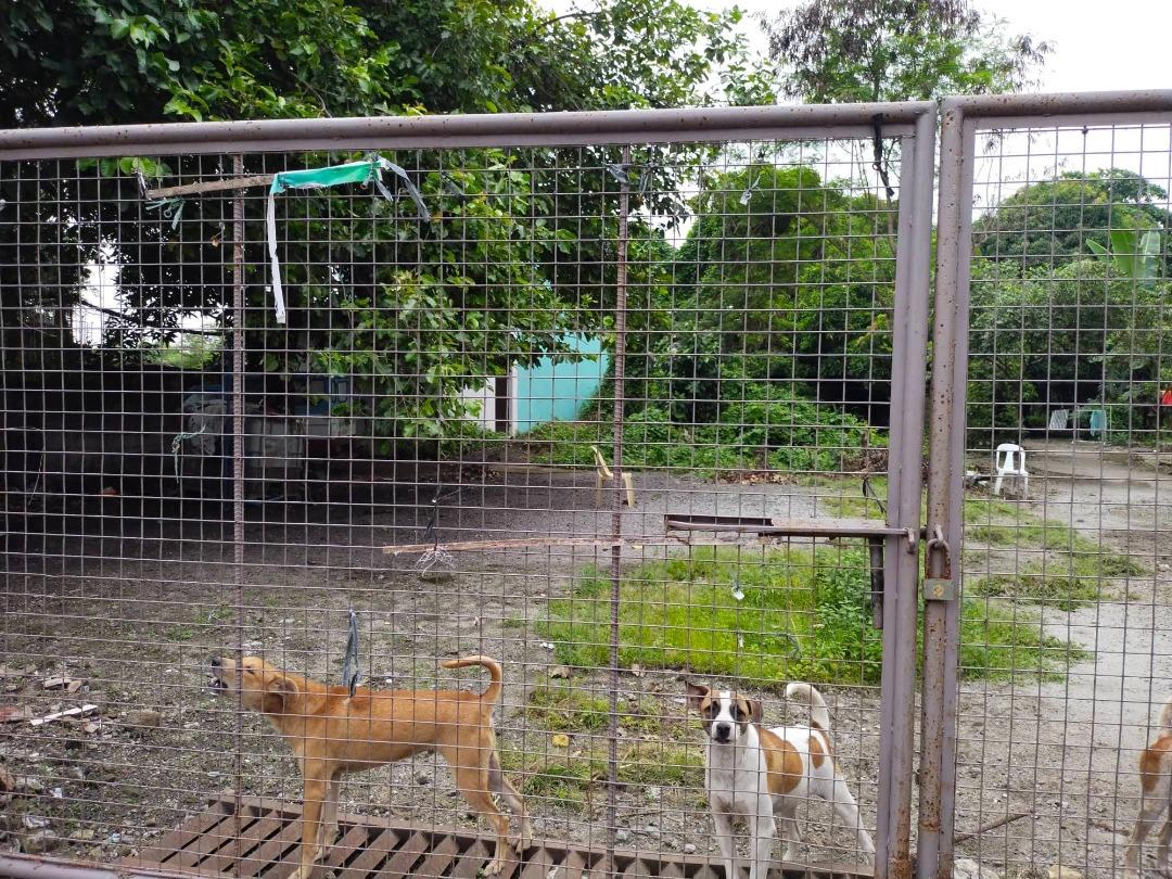 Lot for sale in Tanzang Luma Imus Cavite, Property, For Sale, Lot on ...