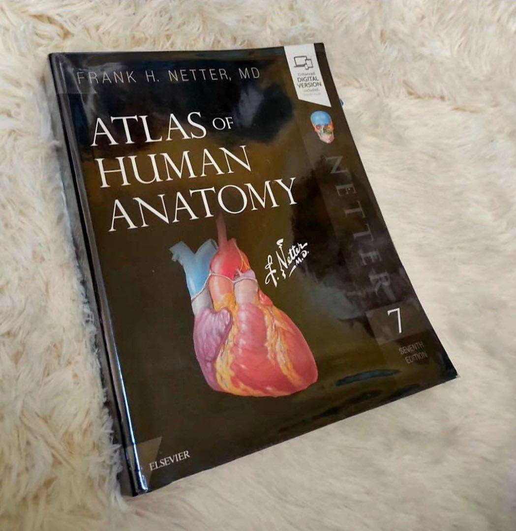 NETTER Atlas of Human Anatomy 7th ed, Hobbies & Toys, Books & Magazines ...