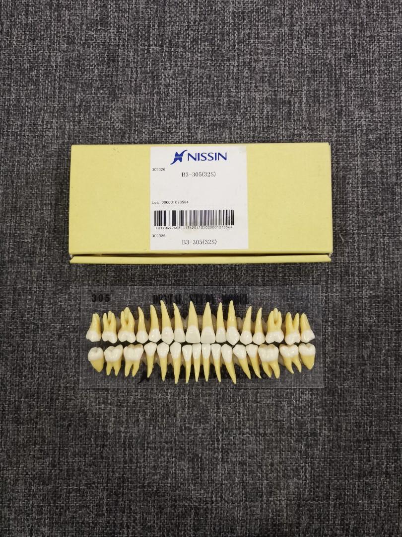 Nissin Anatomical Model, Health & Nutrition, Medical Supplies & Tools ...