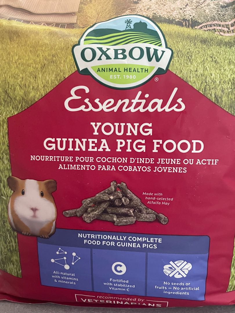 Oxbow Young Guinea Pig Pellets, Pet Supplies, Pet Food on Carousell