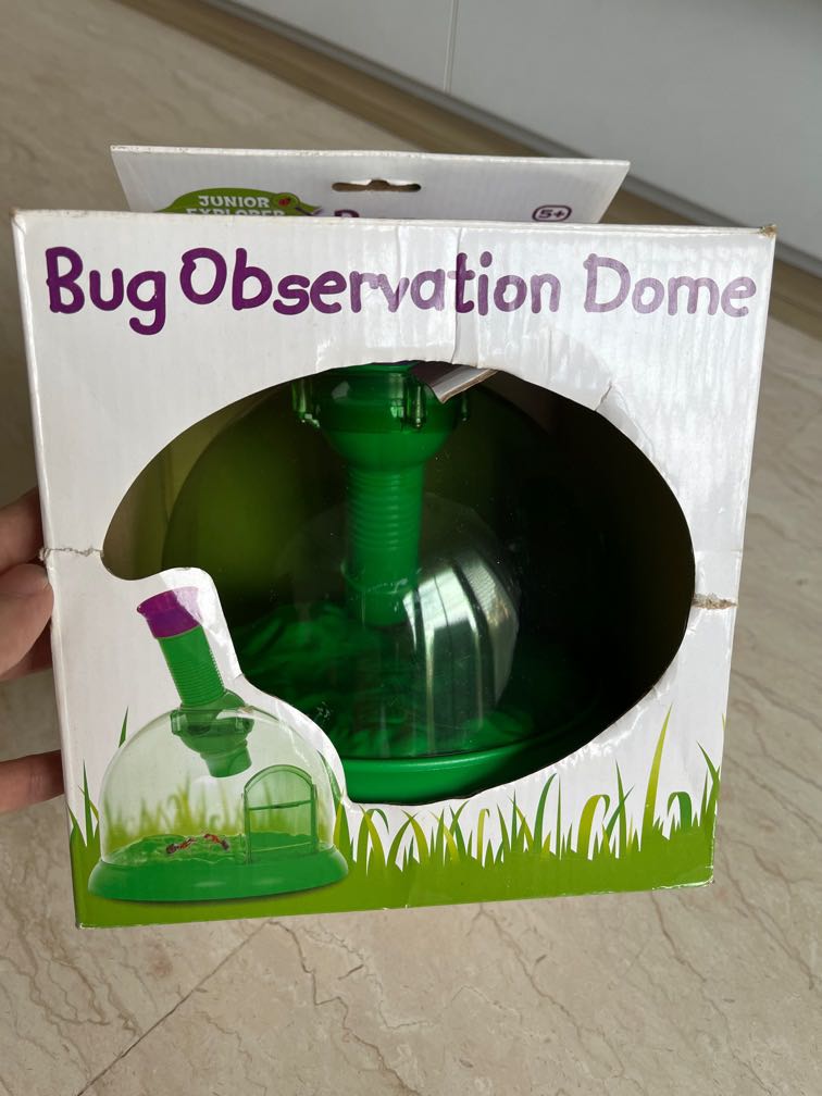 Bug observation dome, Hobbies & Toys, Toys & Games on Carousell