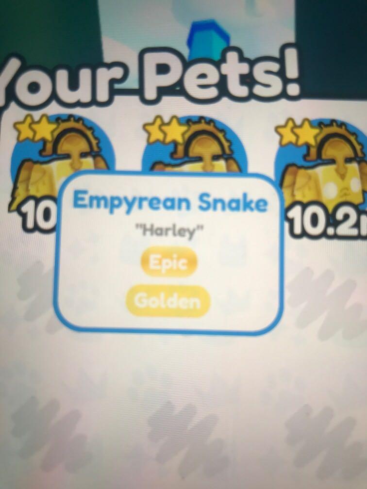Empyrean Snake(From Roblox:Pet SimulatorX), 其他, 其他 - Carousell