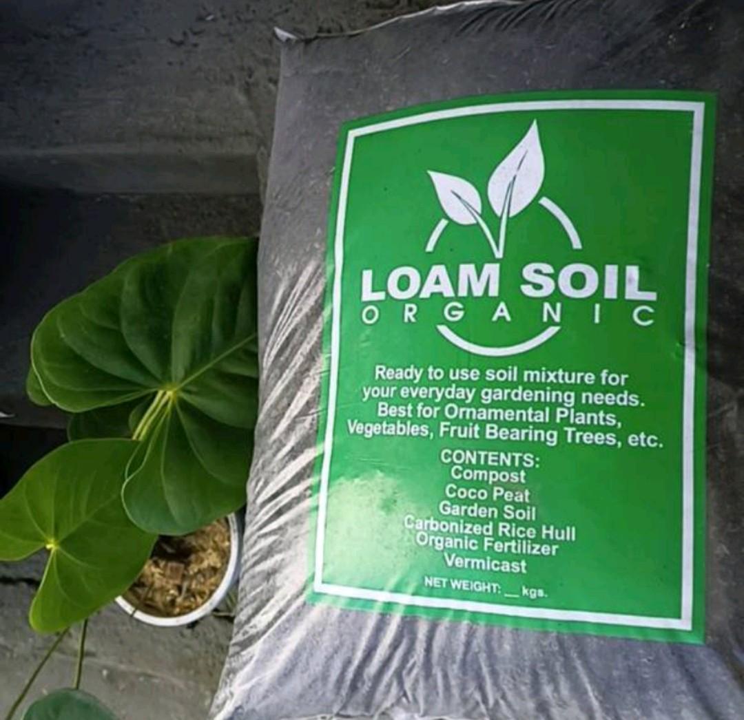 Loam Soil 9-10kg ( Complete Organic Mixture ), Furniture & Home Living ...