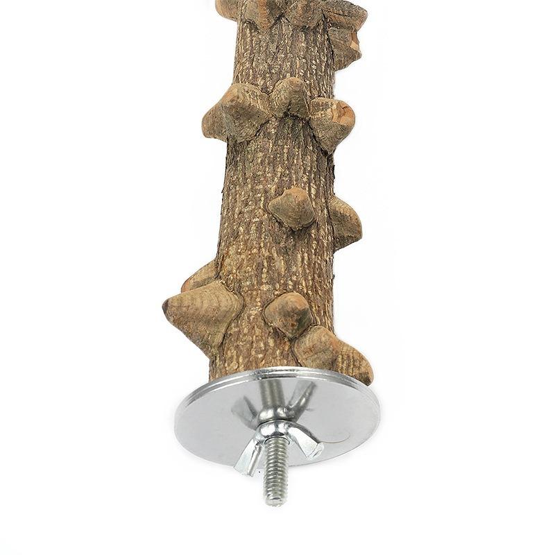 Parrot Pepper Wood Stand Stick | Stand Stick Starling Thrush | Parrot ...