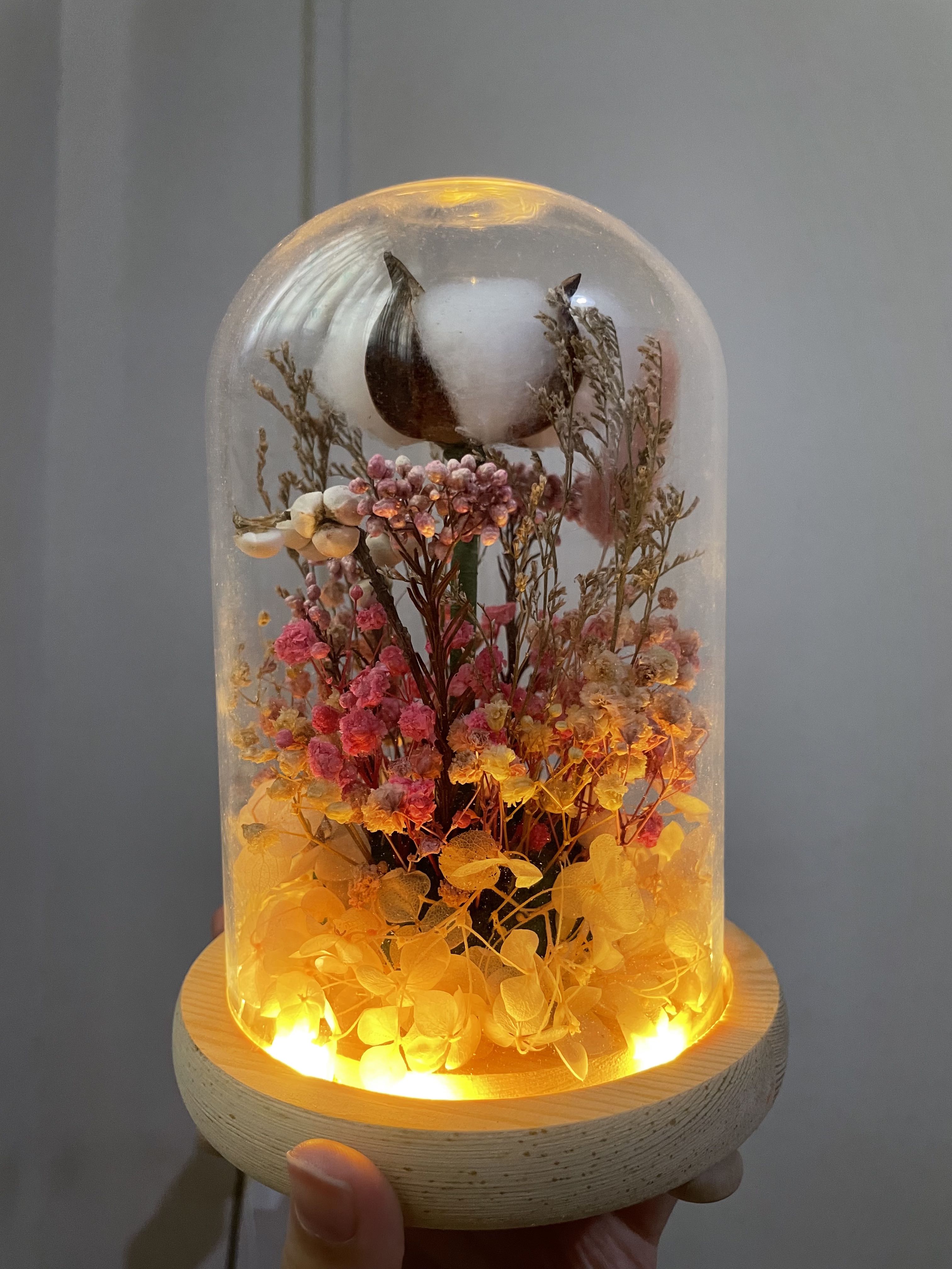 Preserved Flower Dome Light, Hobbies & Toys, Stationery & Craft ...