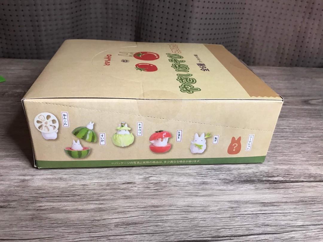 Studio Ghibli White Totoro Blind Box Set of 6, Hobbies & Toys, Toys ...