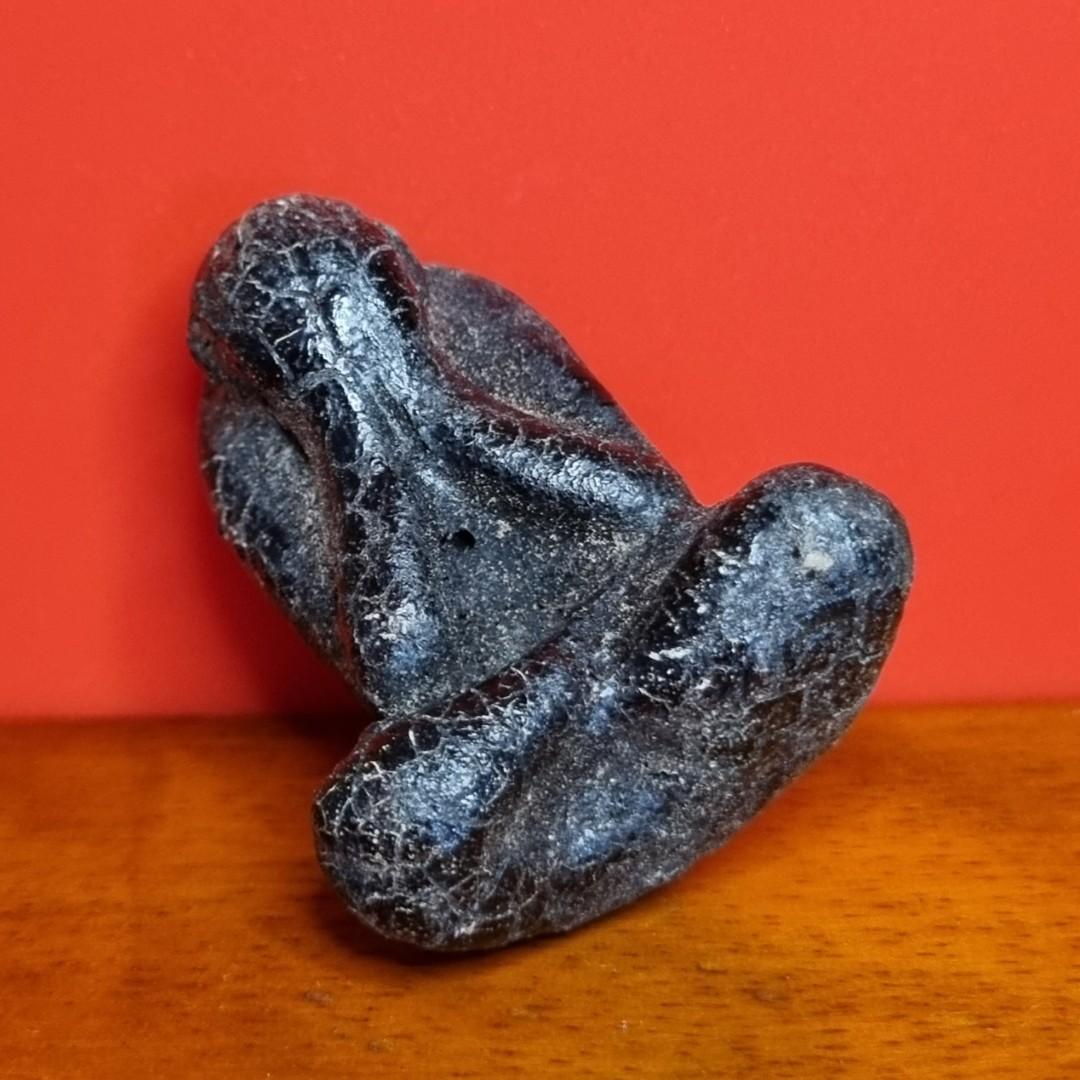 Tok Raja Snake Skin Pidta BE 2480, Hobbies & Toys, Memorabilia ...