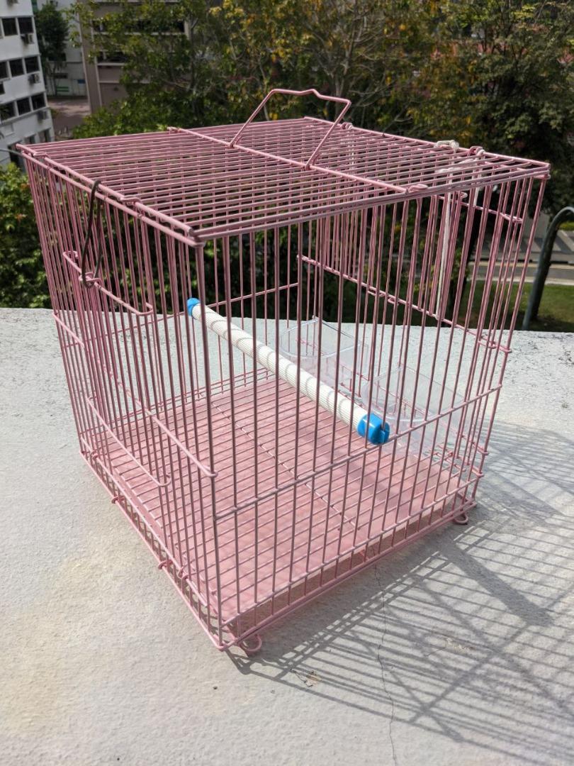 Bird cage [Pink], Pet Supplies, Homes & Other Pet Accessories on Carousell