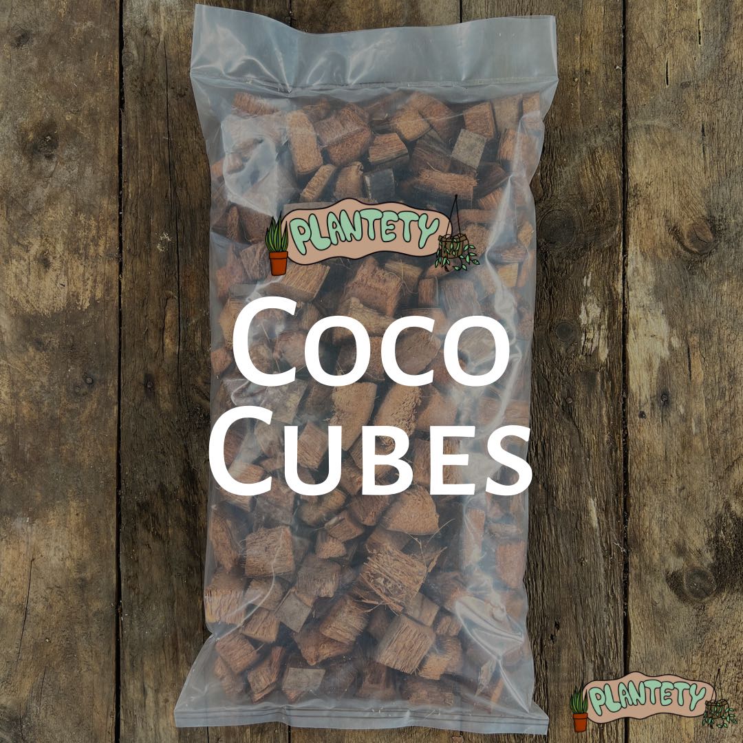Coco cubes coco chunks 3liters, Furniture & Home Living, Gardening ...