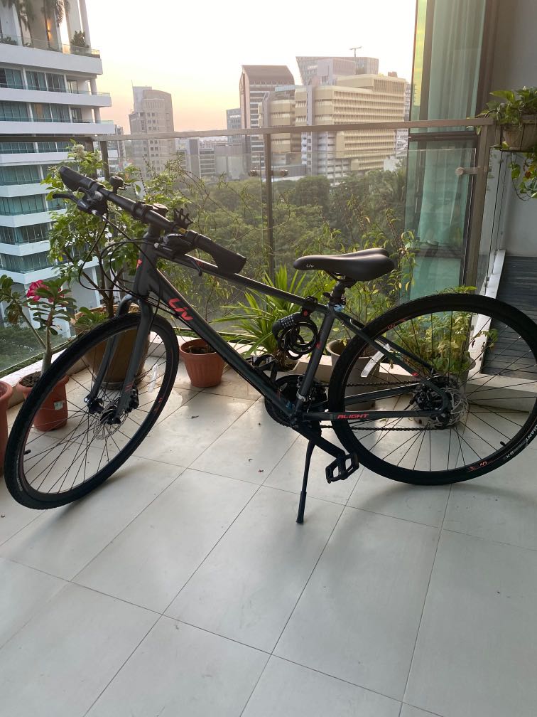 Liv Alight 2 Hybrid Bike, Furniture & Home Living, Home Improvement ...