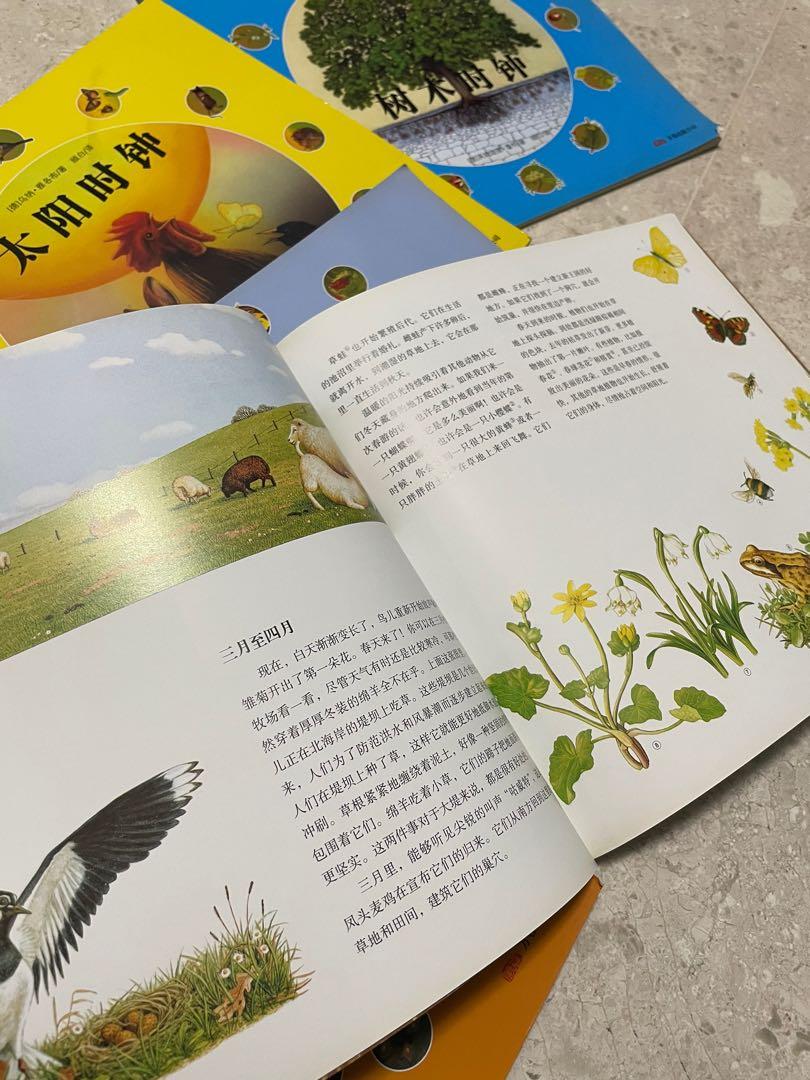 Primary Chinese Reading Materials - A Series, Hobbies & Toys, Books ...