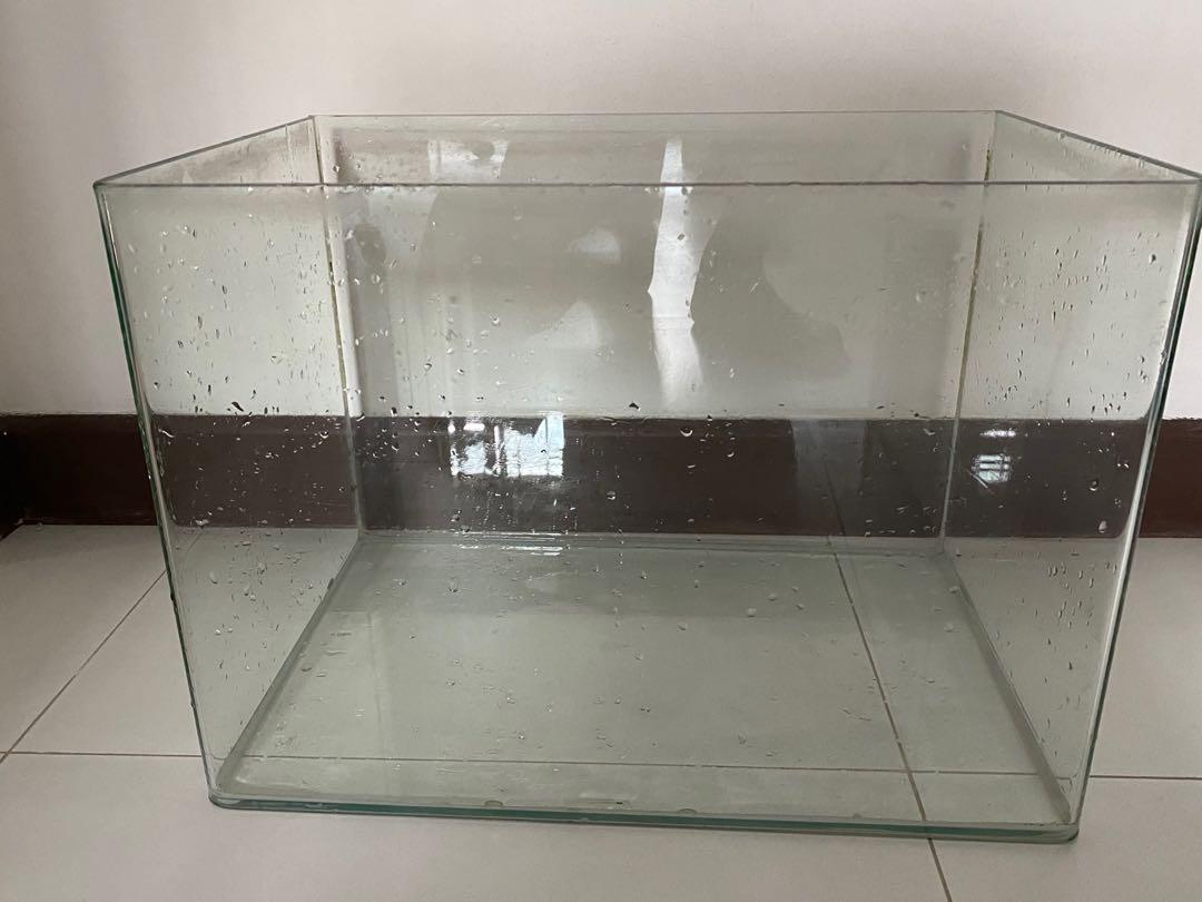 45cm Curve Front Fish Tank, Pet Supplies, Homes & Other Pet Accessories ...