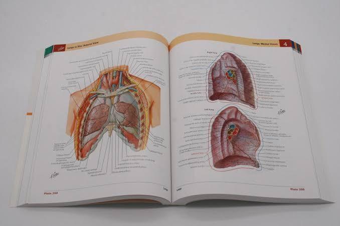 Buku Kedokteran Atlas Anatomi Manusia / Atlas of Human Anatomy by Frank ...