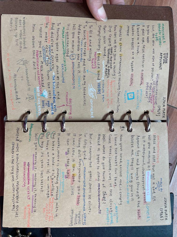 H2 Lit Notes (Fancyyyy) Paper 2 & 3, Hobbies & Toys, Stationery & Craft ...