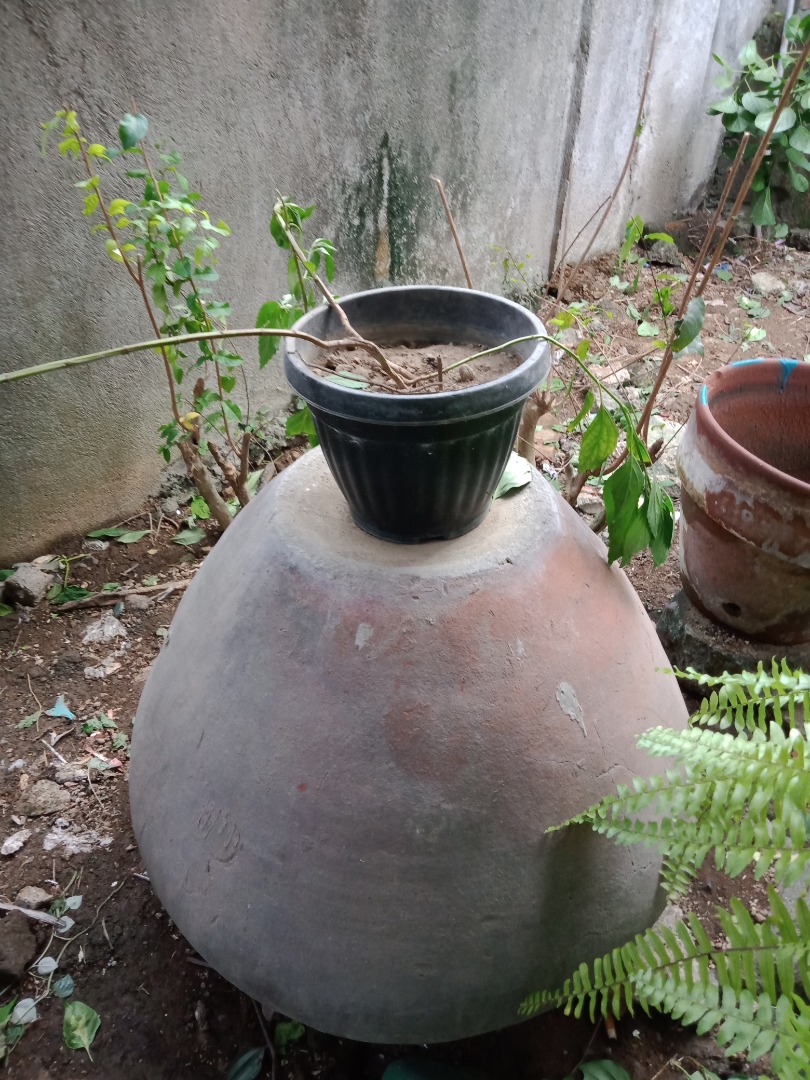 1950's vintage Banga, Furniture & Home Living, Gardening, Pots ...