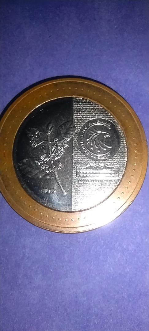 20 pesos error coin, Hobbies & Toys, Memorabilia & Collectibles ...