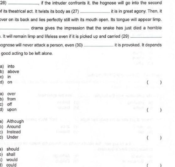 AEIS English Practice Test Paper / Sec 1 / Sec 2 / Sec 3 / P2 / P3 / P4 ...