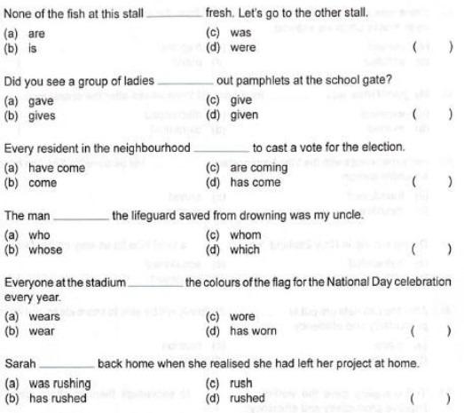 AEIS Maths English Practice Test Paper / P2 P3 P4 P5 / Sec 1 Sec 2 Sec ...