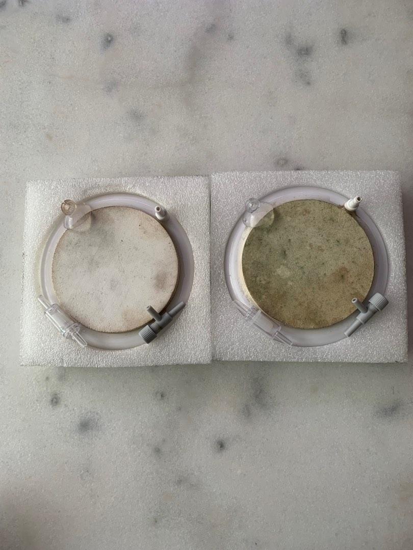 Aerator Stone Disc for Aquarium, Pet Supplies, Homes & Other Pet ...
