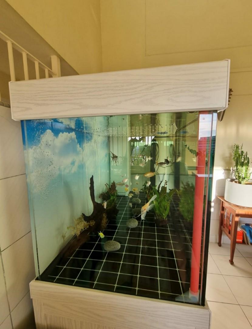Custom Built Fish Tank With Cabinet & Sump System, Pet Supplies, Homes ...