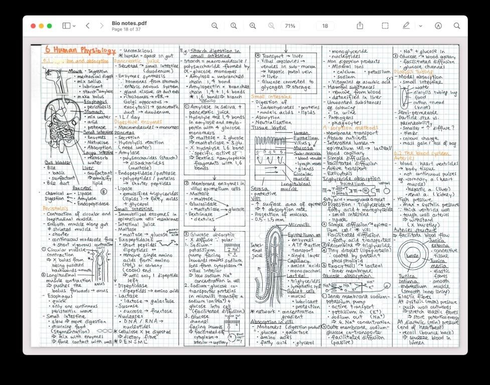 IBDP Biology HL Notes by Medical Student, 興趣及遊戲, 書本 & 文具, 教科書 - Carousell