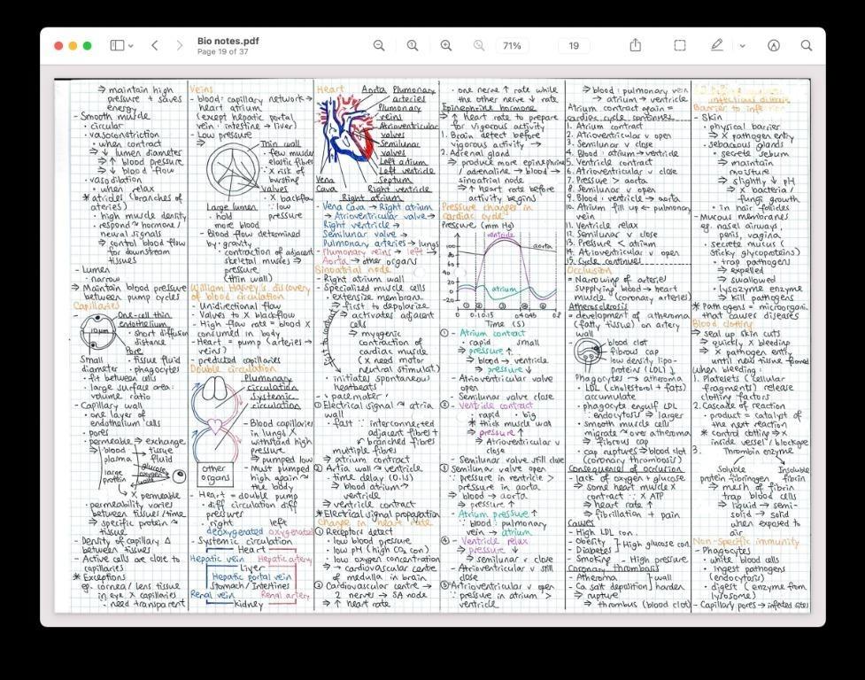 IBDP Biology HL Notes by Medical Student, 興趣及遊戲, 書本 & 文具, 教科書 - Carousell