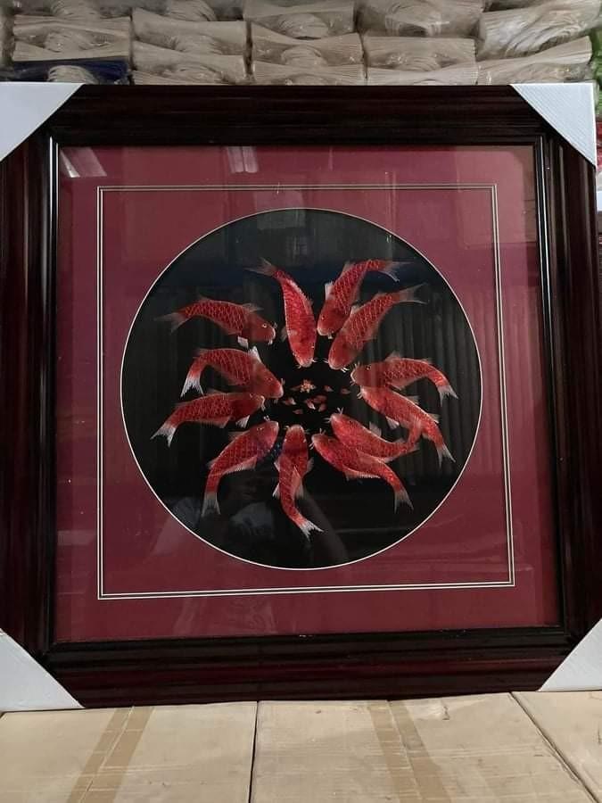 Koi fish wall frame, wall decor, wall decoration, isda wall frame ...