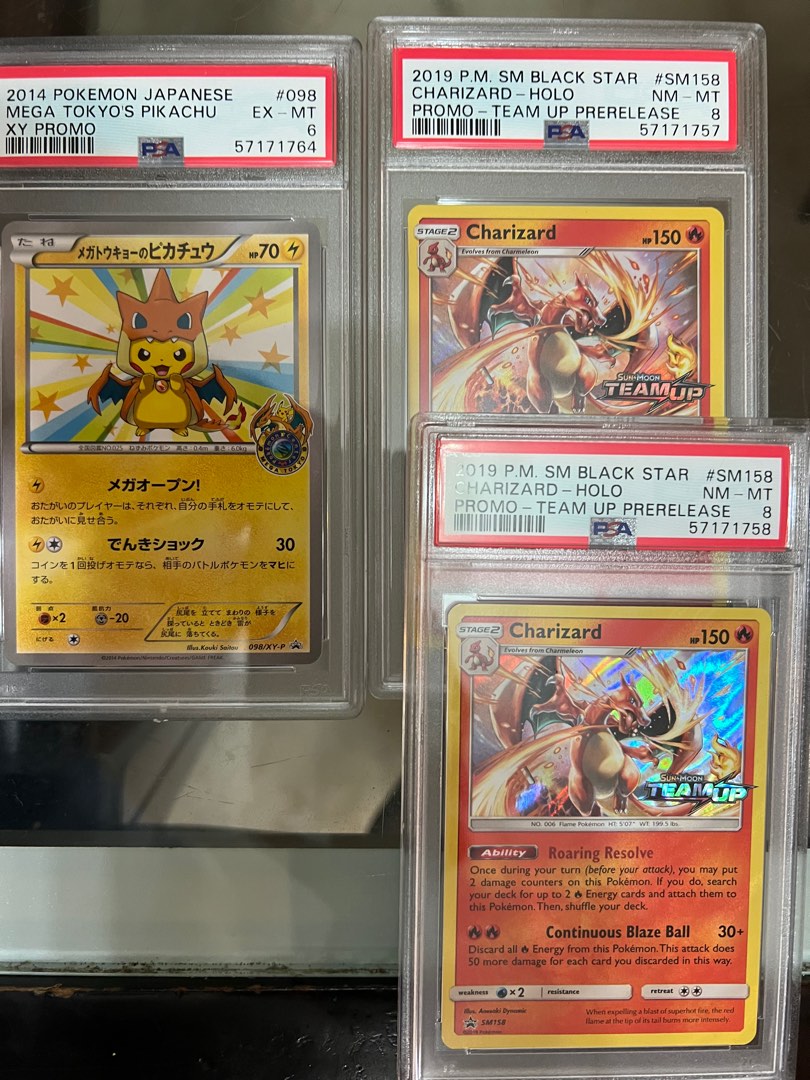 Pokemon Slabs charizard and pikachu, Video Gaming, Gaming Accessories ...
