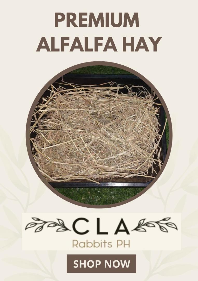 Premium Alfalfa Hay, Pet Supplies, Pet Food on Carousell
