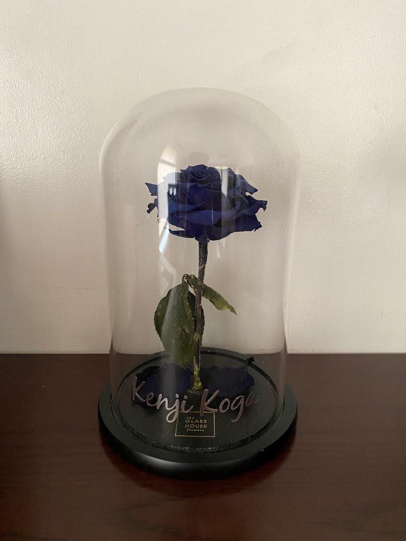 Preserved Blue Rose Belle Fleur, Furniture & Home Living, Home Decor, Artificial Plants ...