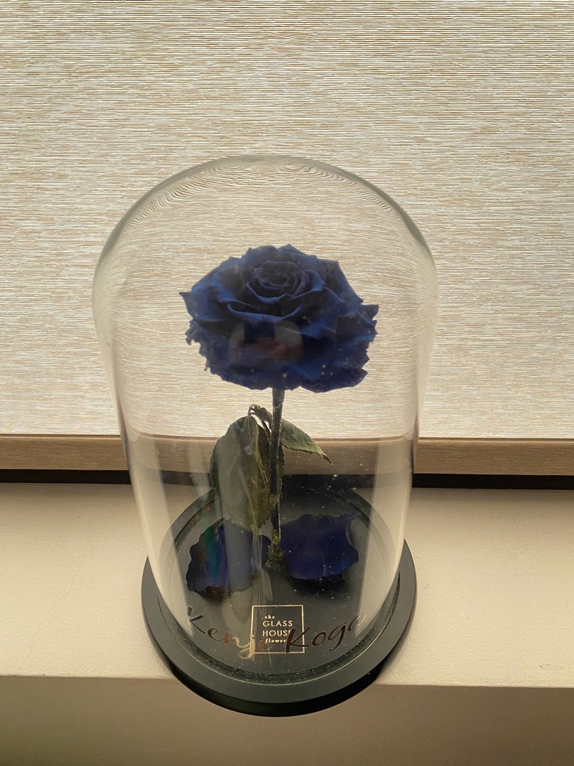 Preserved Blue Rose Belle Fleur, Furniture & Home Living, Home Decor ...