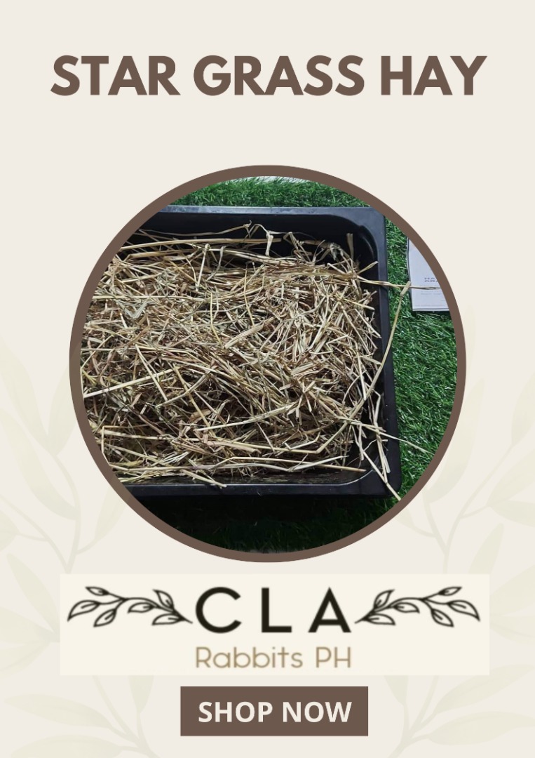 Star Grass Hay, Pet Supplies, Pet Food on Carousell
