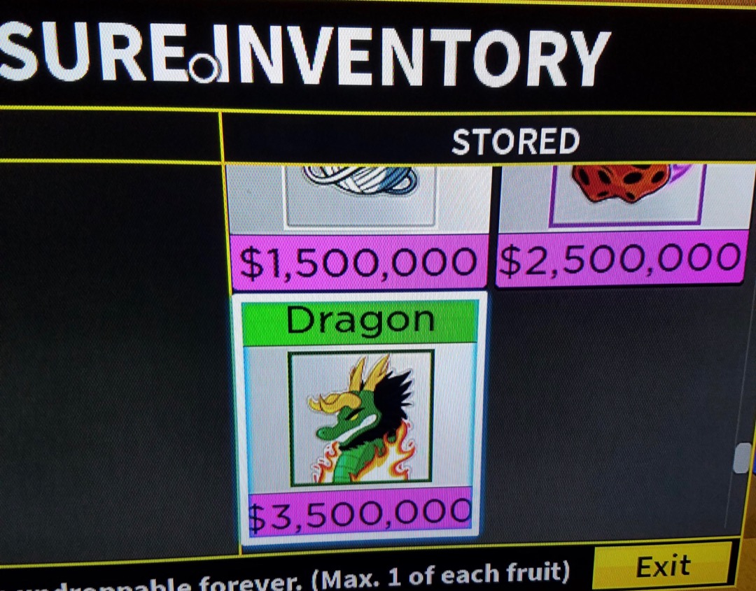 Temporary fruits in blox fruits, Video Gaming, Gaming Accessories, In ...