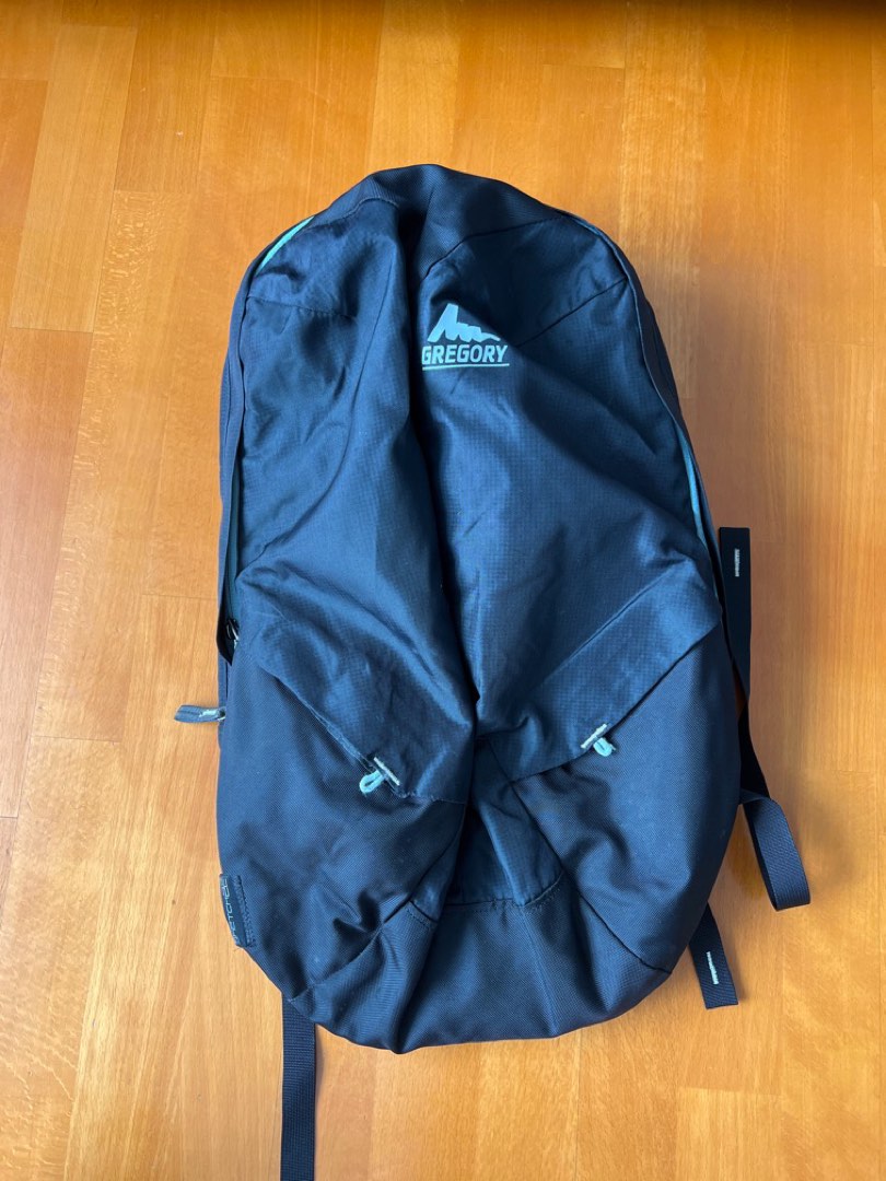 Used Gregory Sketch 22 Litre Backpack, 女裝, 手袋及銀包, 背囊 - Carousell