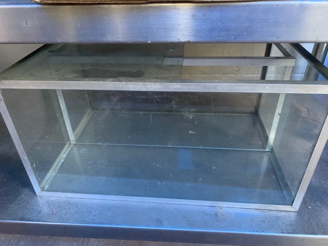 GLASS FOOD DISPLAY, Furniture & Home Living, Outdoor Furniture on Carousell