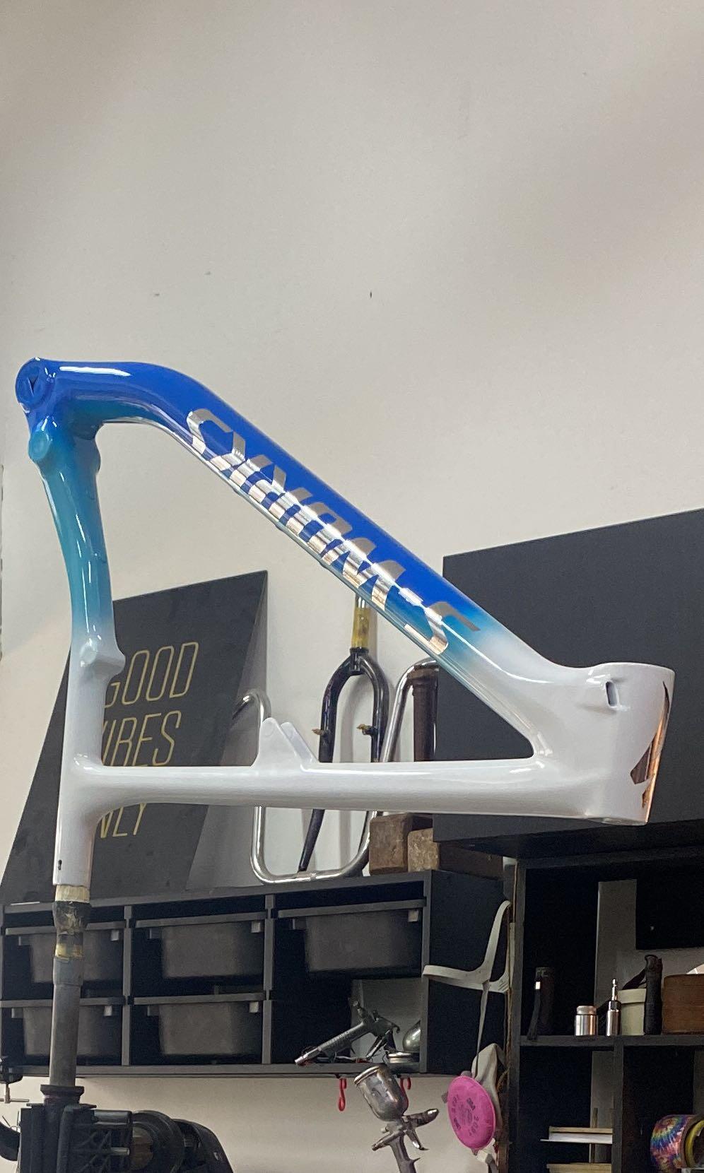 HIGH END CUSTOM PAINT JOBS FOR BICYCLES DISMANTLING AND ASSEMBLY ...