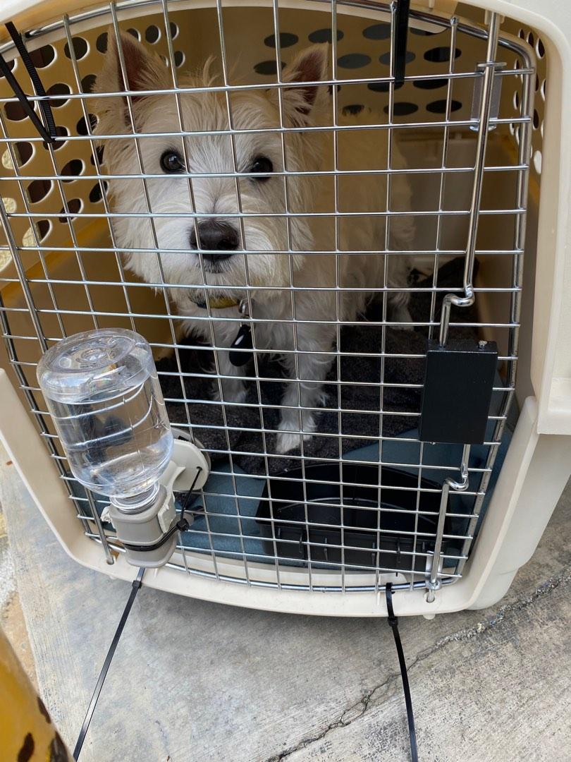 Petmate Ultra vari kennel - IATA approved Kennel without wheels/handle ...