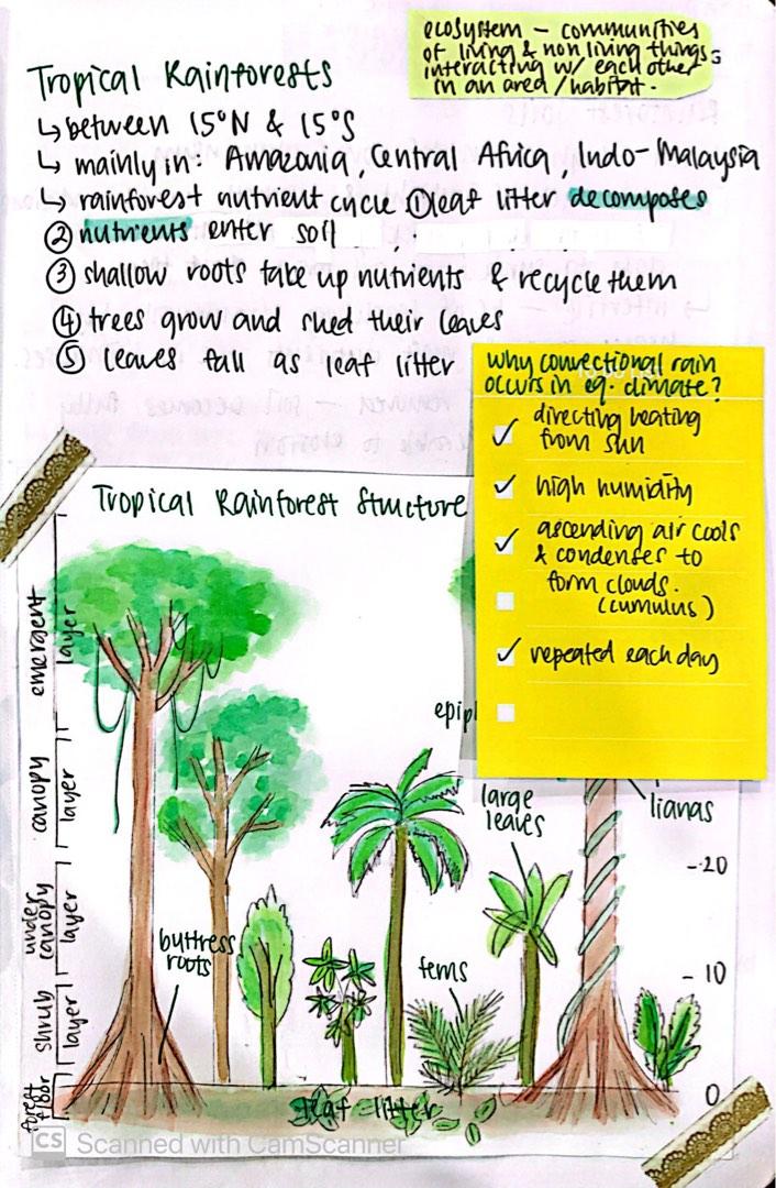 igcse geography (0460) case study notes 2022 syllabus - from a straight ...
