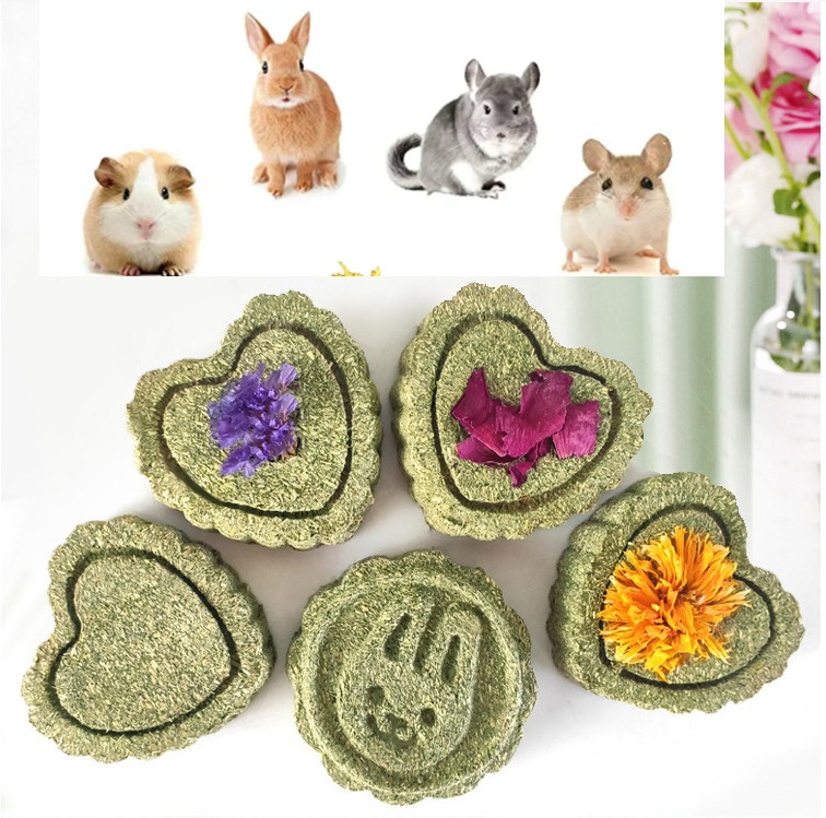 5 Pack Bunny Chew Toys for Teeth Natural Pet Chew Toy Hand Made Timothy ...